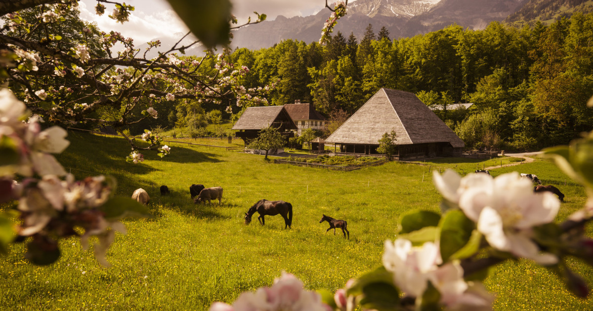 Open-Air Museum Ballenberg - A place of encounter / Berner Oberland Pass