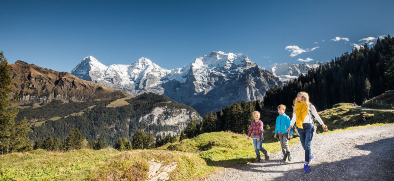 Winteregg - Grütschalp / Berner Oberland Pass