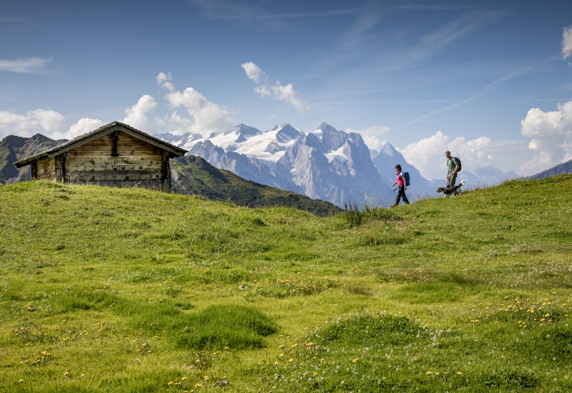 Alpen tower Meiringen-Hasliberg / Wonderful panoramic view / Berner ...
