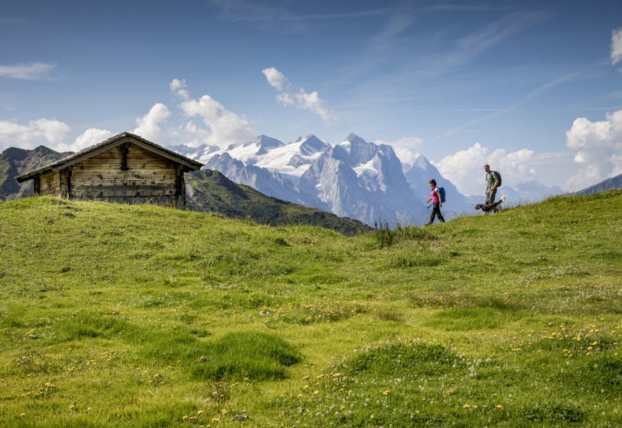 Alpen tower Meiringen-Hasliberg / Wonderful panoramic view / Berner ...