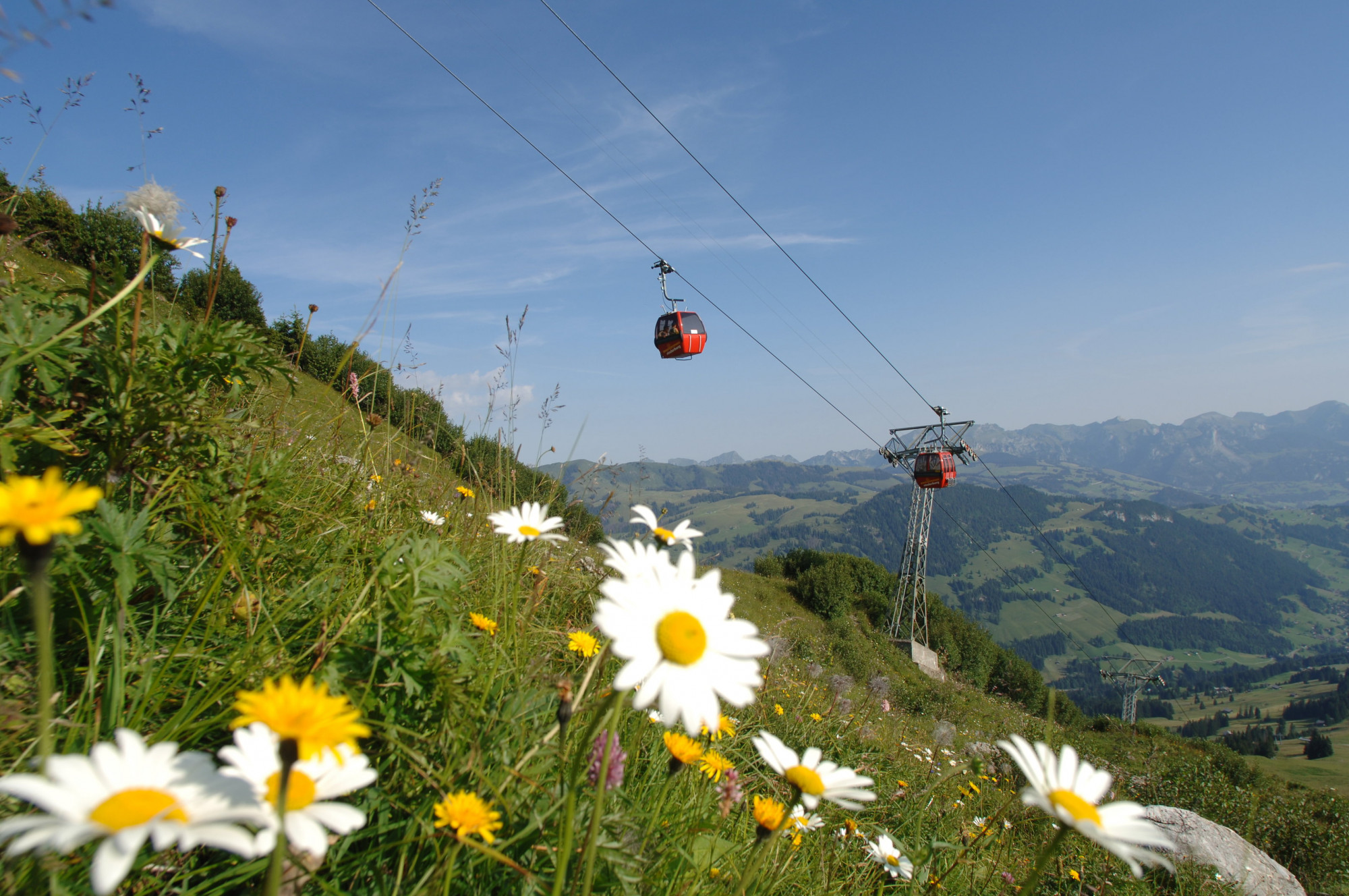 Rinderberg - hiking paradise in the Simmental / Berner Oberland Pass