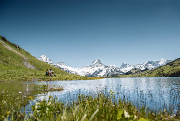 Grindelwald First - An adventure-packed excursion for the whole family ...