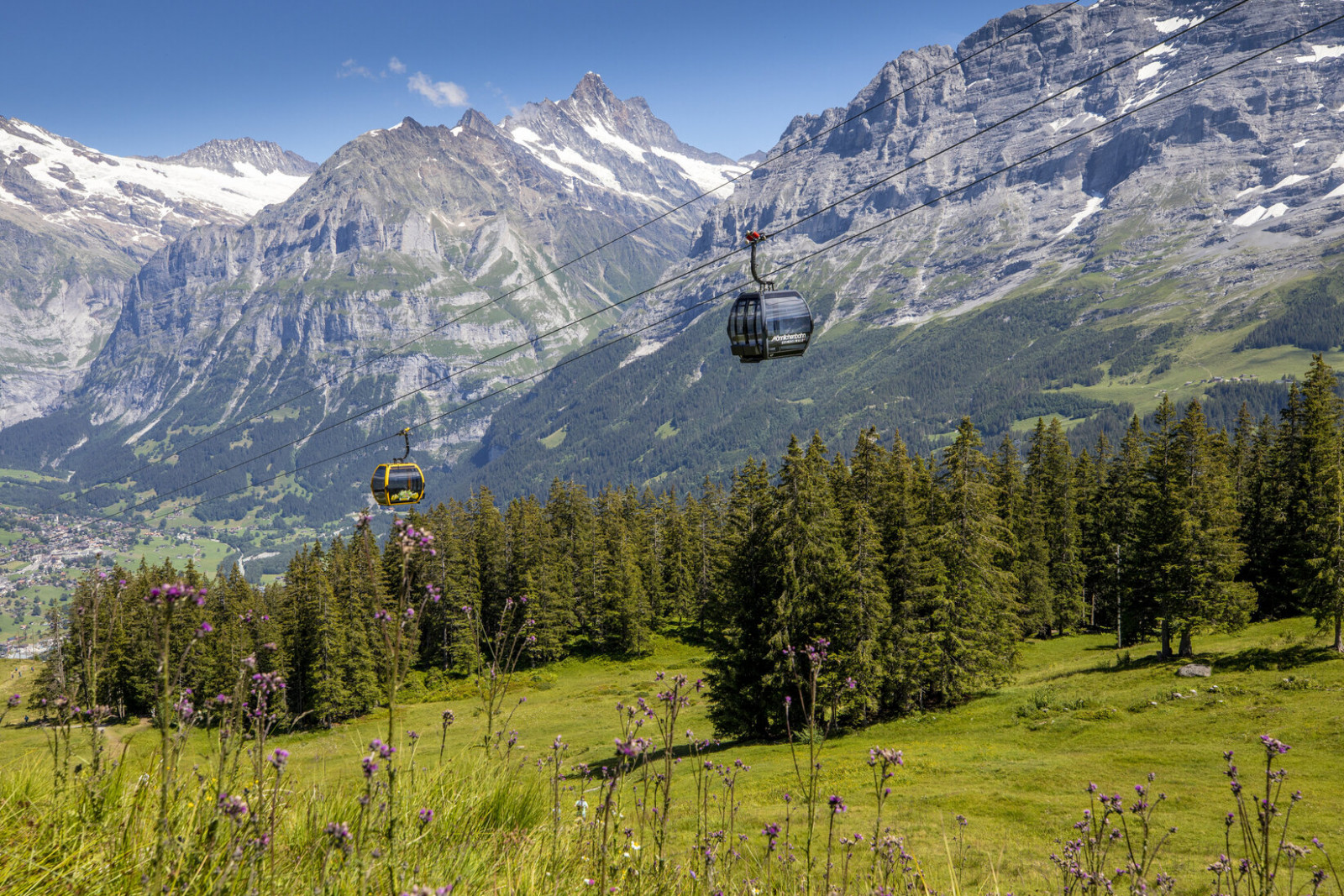 Grindelwald - Pfingstegg / Free travel / Berner Oberland Pass