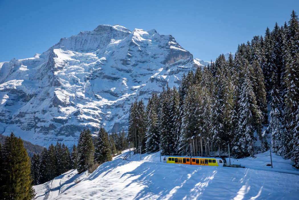Grütschalp - Winteregg - Mürren / Berner Oberland Pass