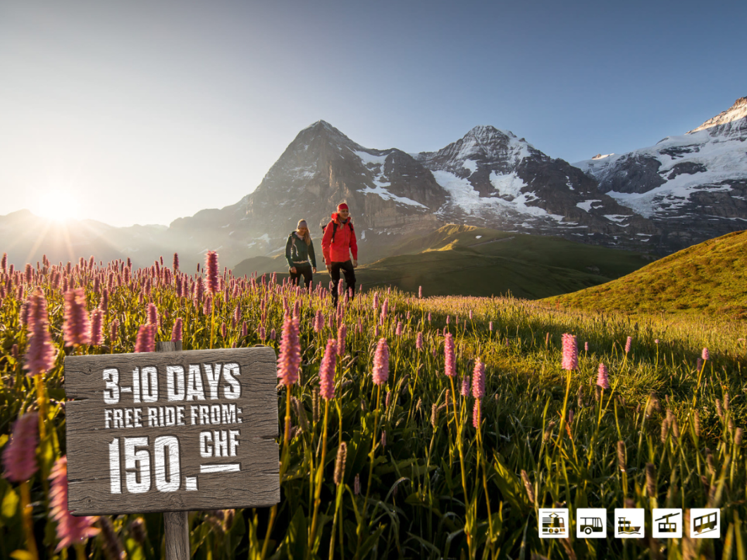 Ticket for the Bernese Oberland / Berner Oberland Pass